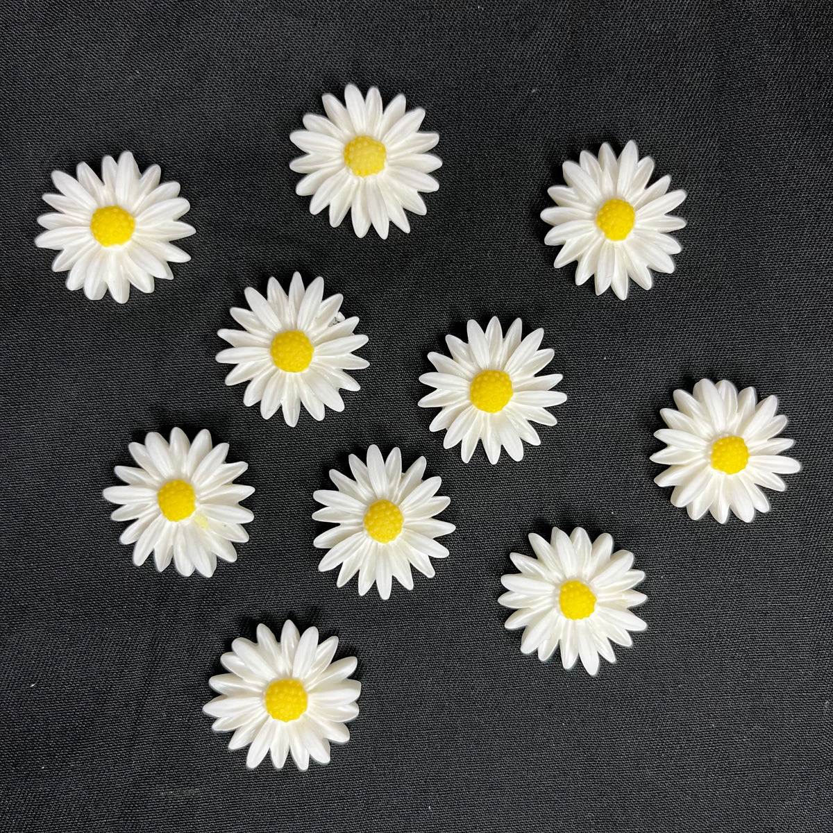 Medium Resin Daisy- 10 Pack – Pretty Gets Gritty